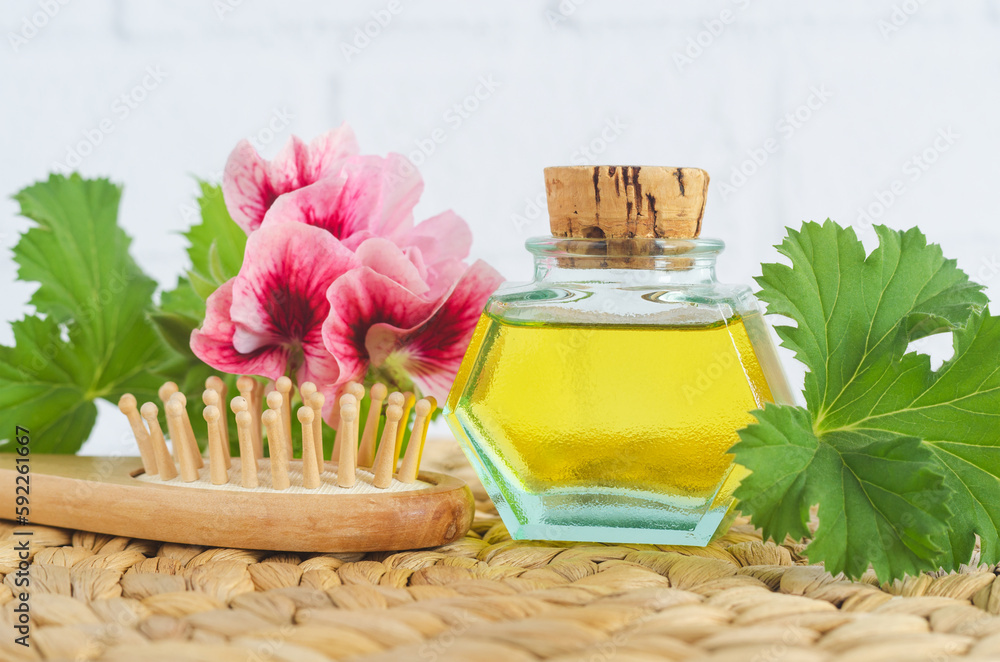 Small vintage bottle with essential geranium oil (pelargonium massage ...