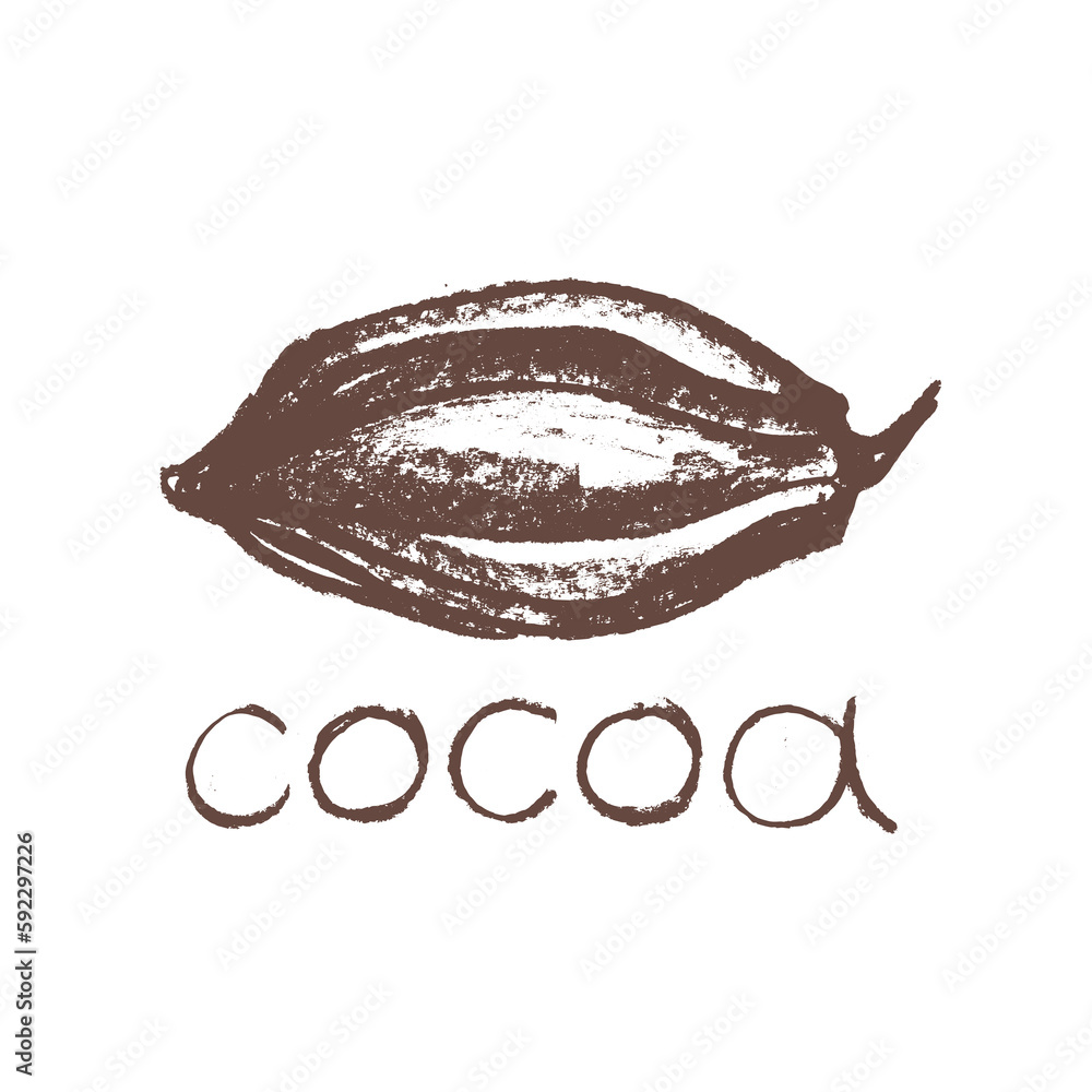 Cocoa bean drawing. Hand drawn sketch Cacao beans. Leaves of Cocoa bean ...