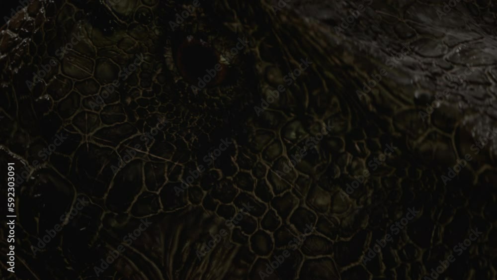 ECU Shot of a dinosaur tyrannosaurus t-rex eye looking into camera ...