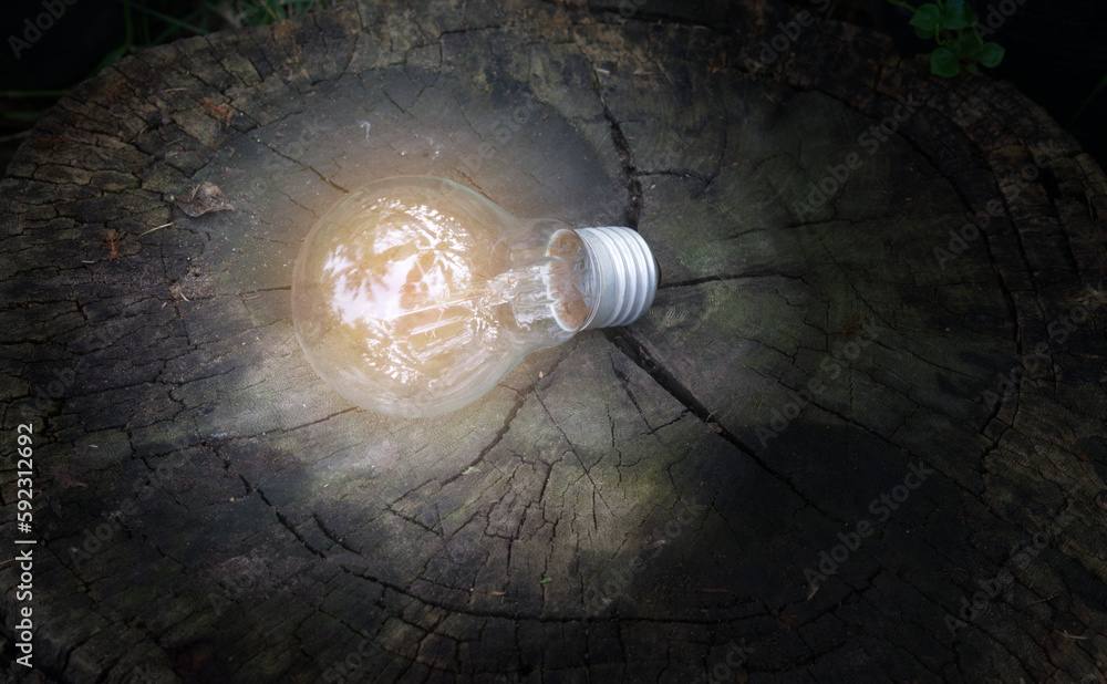 Energy and environment are intertwined, with sustainable practices ...