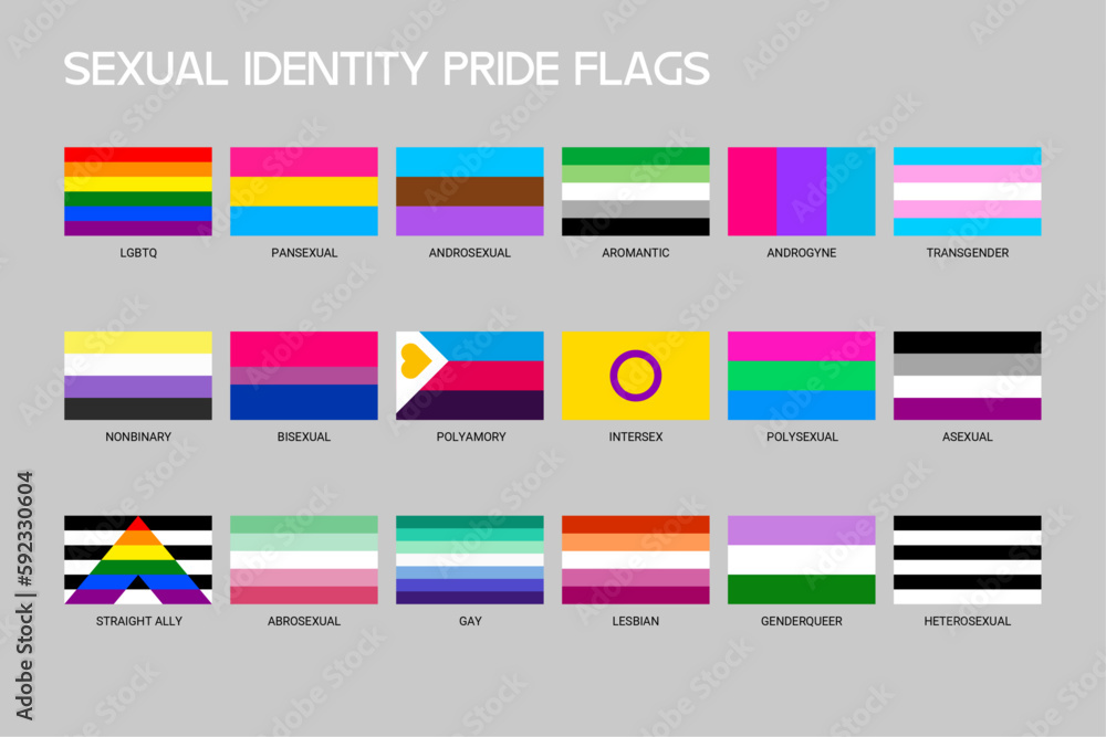 LGBT sexual identity pride flags gender collection. Flag of gay ...
