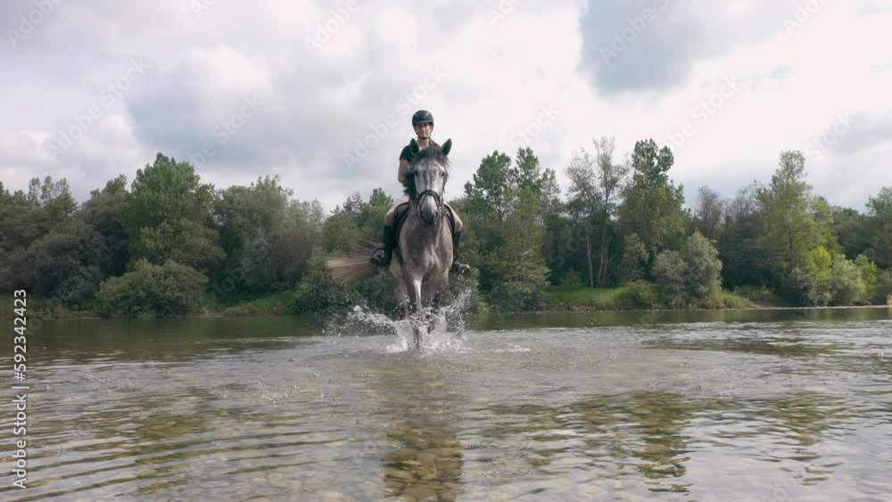 Front view of a beautiful dapple gray horse with a female jockey ...