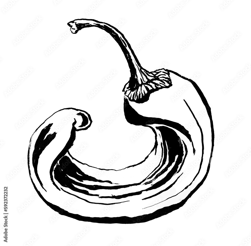 Twisted pepper plant ink hand drawing isolated on white background ...
