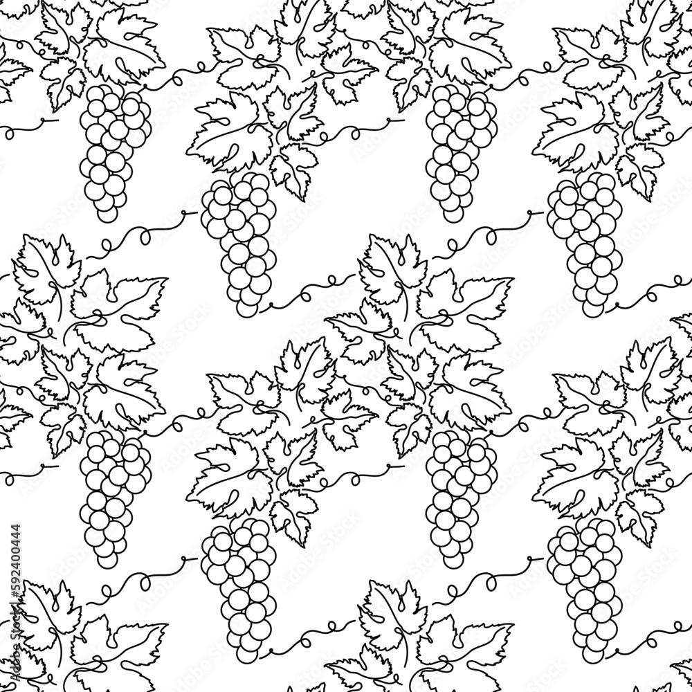 Bunches of grapes. Vine. Seamless pattern. Vector line drawing on white ...