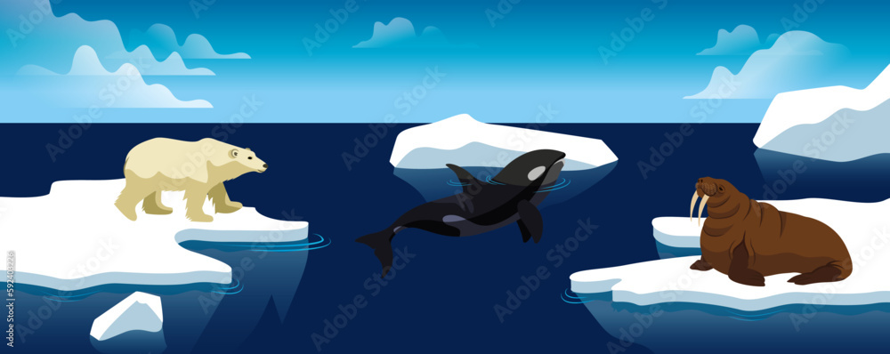Arctic landscape with polar bear, killer whale and walrus on iceberg ...
