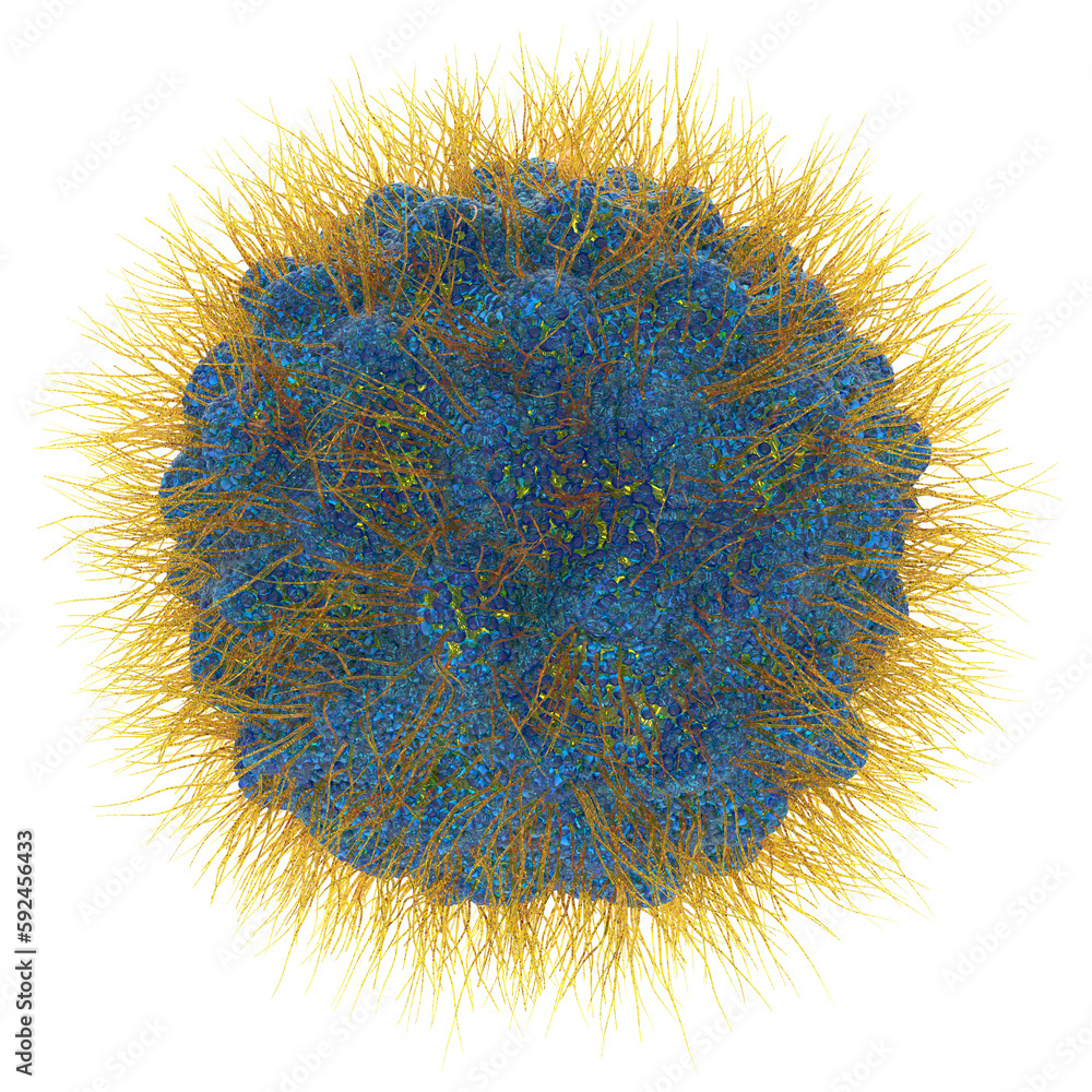 Coronavirus 2019-ncov flu infection 3D medical illustration ...