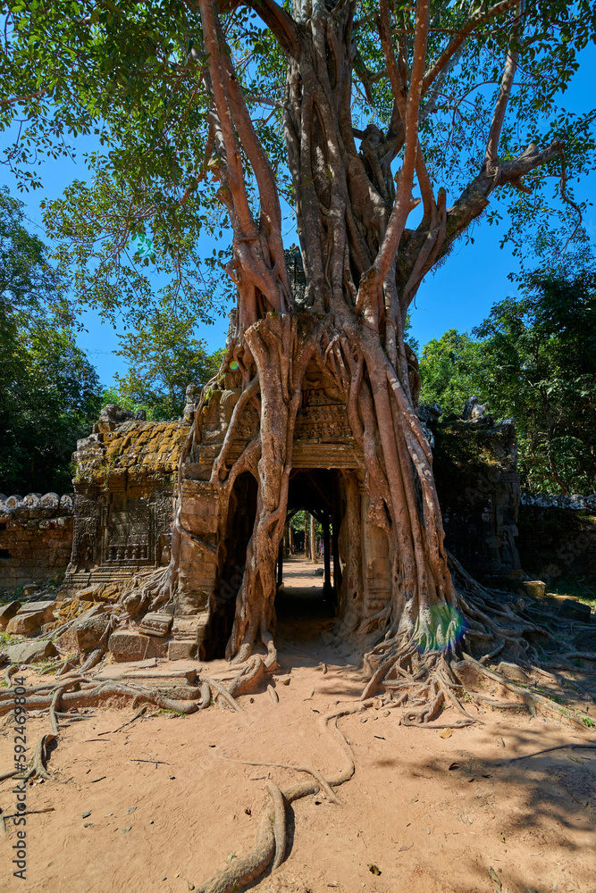 Ta Som temple Khmer temple at Angkor Thom is popular tourist attraction ...