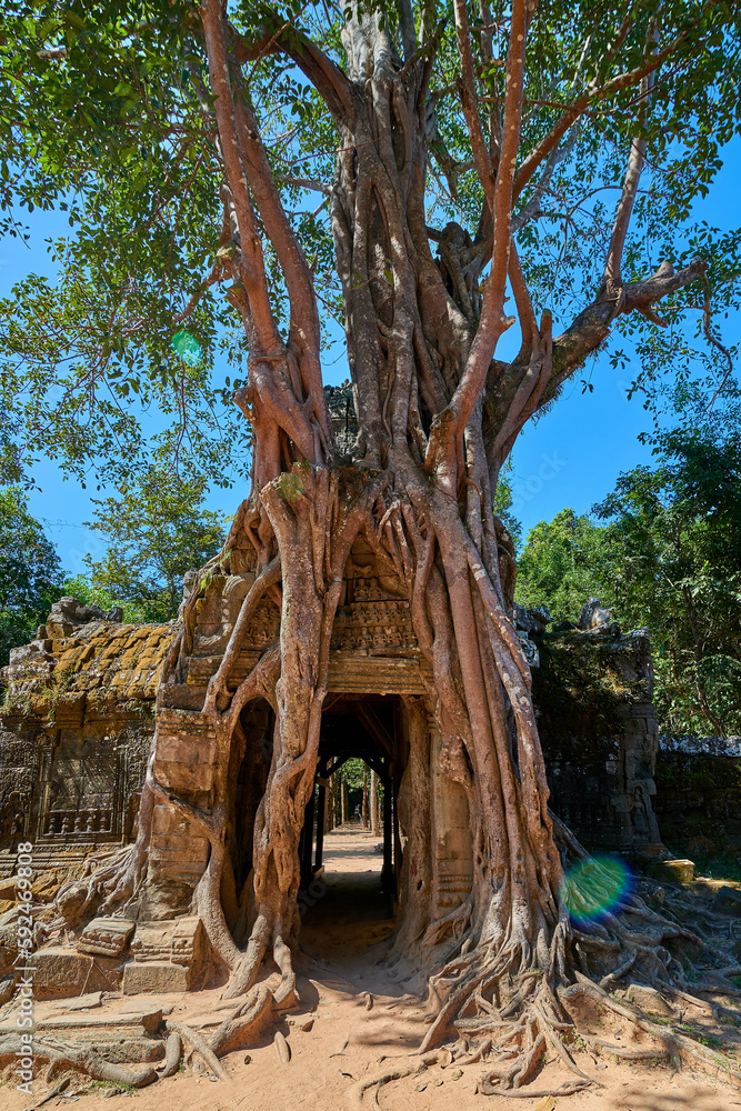 Ta Som temple Khmer temple at Angkor Thom is popular tourist attraction ...