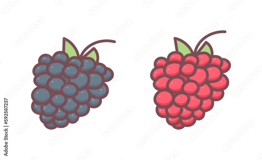 blackberry and raspberry doodle sketch illustration. Vector hand drawn ...