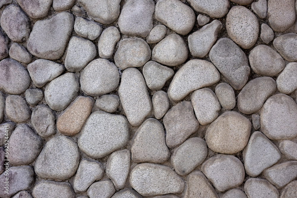 Solid texture of large gray round stones. Frontal view of a stone wall ...