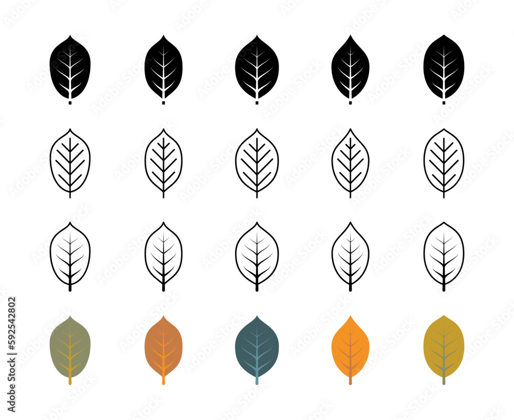 Walnut tree leaf vector icons. Isolated walnut leaves icon collection ...