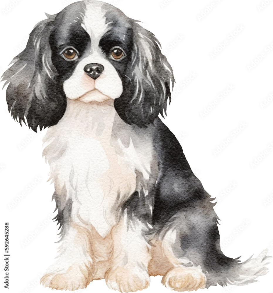 Cavalier dog illustration created with Generative AI technology Stock ...