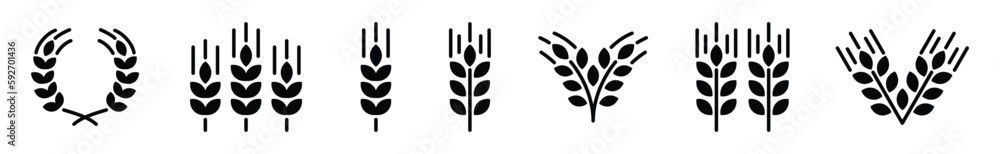Wheat ear icon vector set. Grain icons collection in flat style. Wheat ...