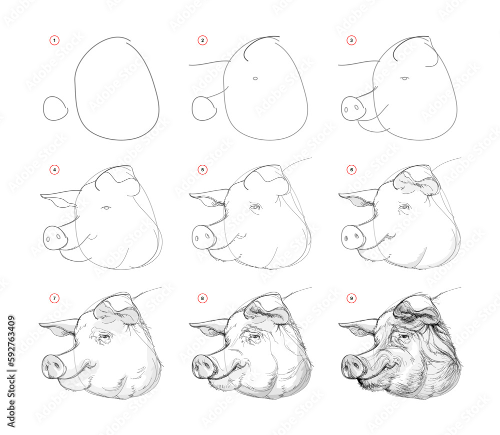 Page shows how to learn to draw sketch the head of pig. Pencil drawing ...