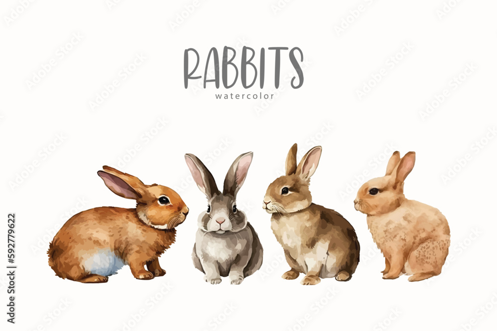 Cute watercolor rabbits on white background Stock Vector | Adobe Stock