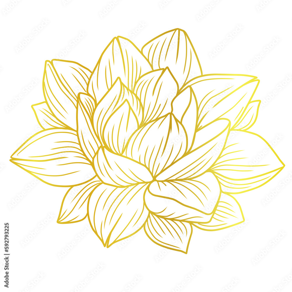Golden lotus line art vector, lotus vesak day element design Stock ...