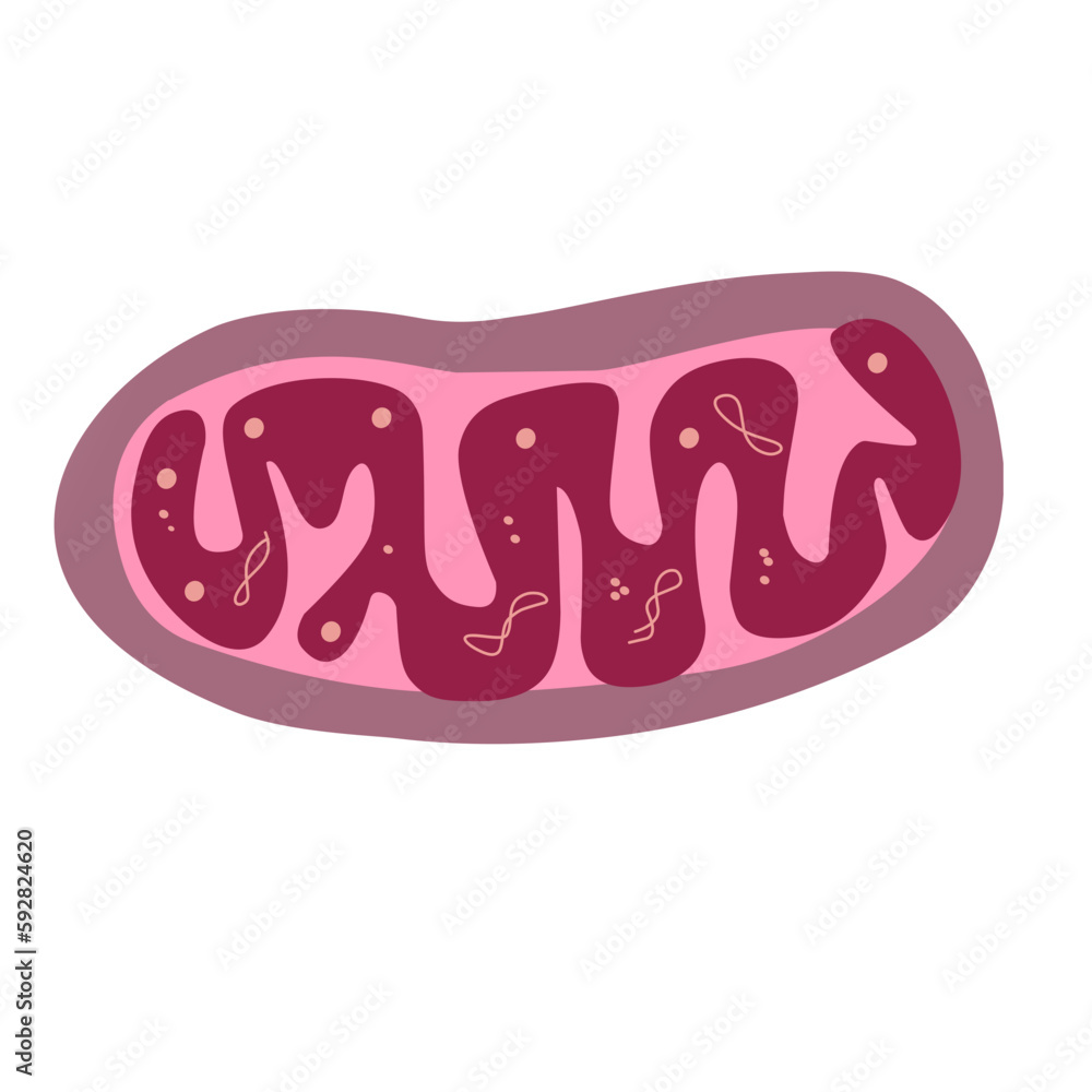 Mitochondria icon Stock Vector | Adobe Stock
