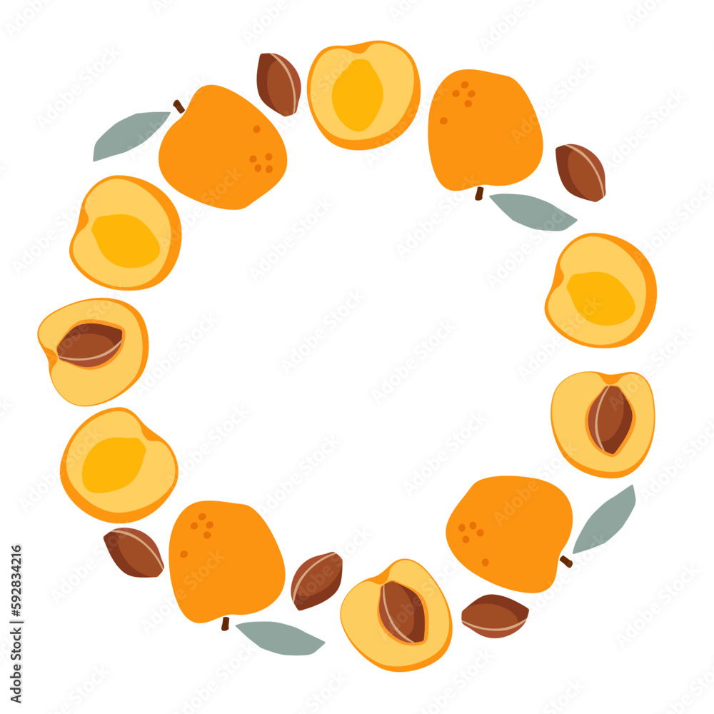 Apricot frame. Round fruit border. Apricot wreath isolated frame with ...