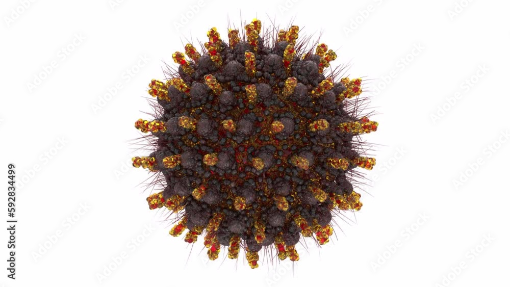 Coronavirus 2019-ncov flu infection 3D medical animation in alpha ...