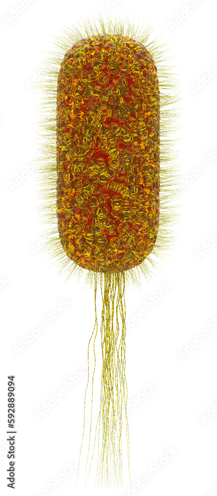 Escherichia Coli (E. Coli.) cell or bacteria under microscope Isolated ...