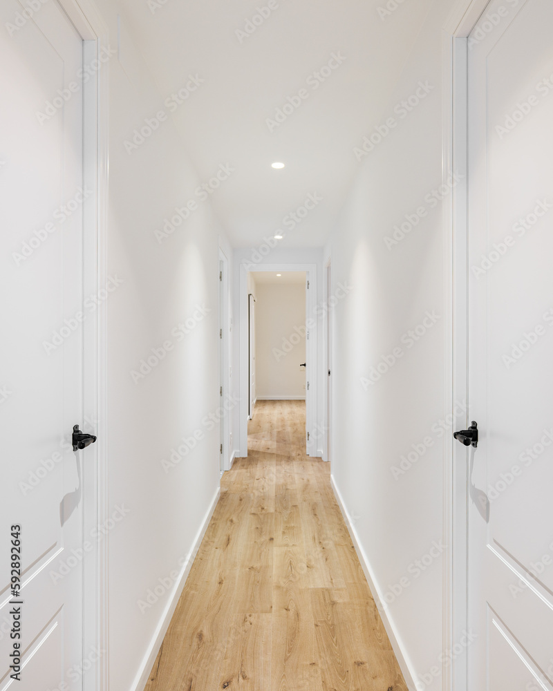 Long narrow straight corridor with doors on the left and right in a ...