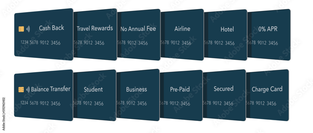 Twelve types of credit cards. All are blue with EMV chip and a tap to ...