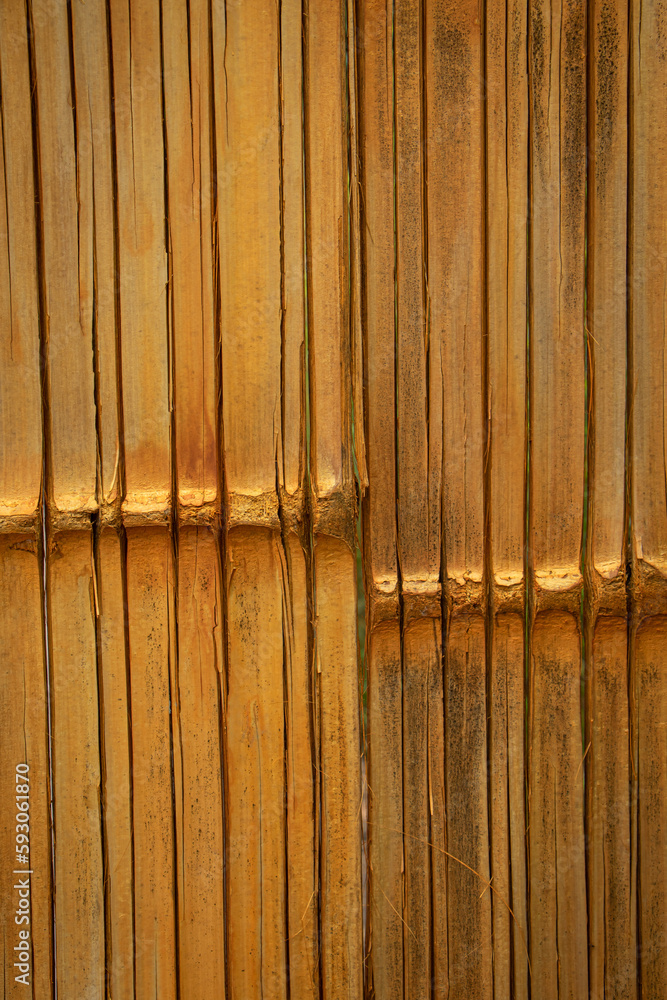 Textura de guadua Stock Photo | Adobe Stock