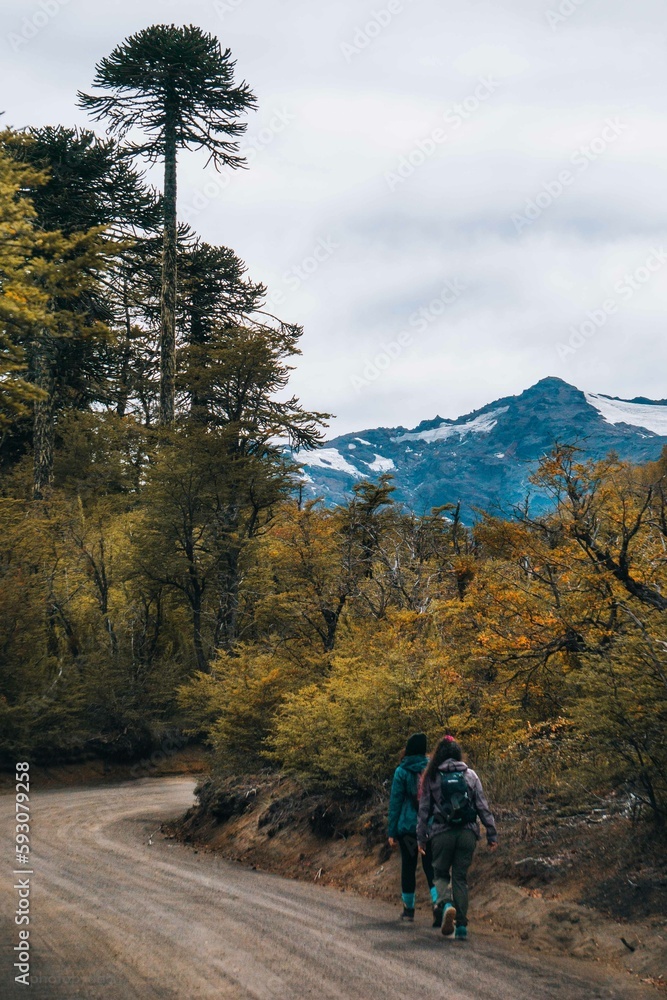 Parque Nacional Conguillío, 9na región de chile Stock Photo | Adobe Stock
