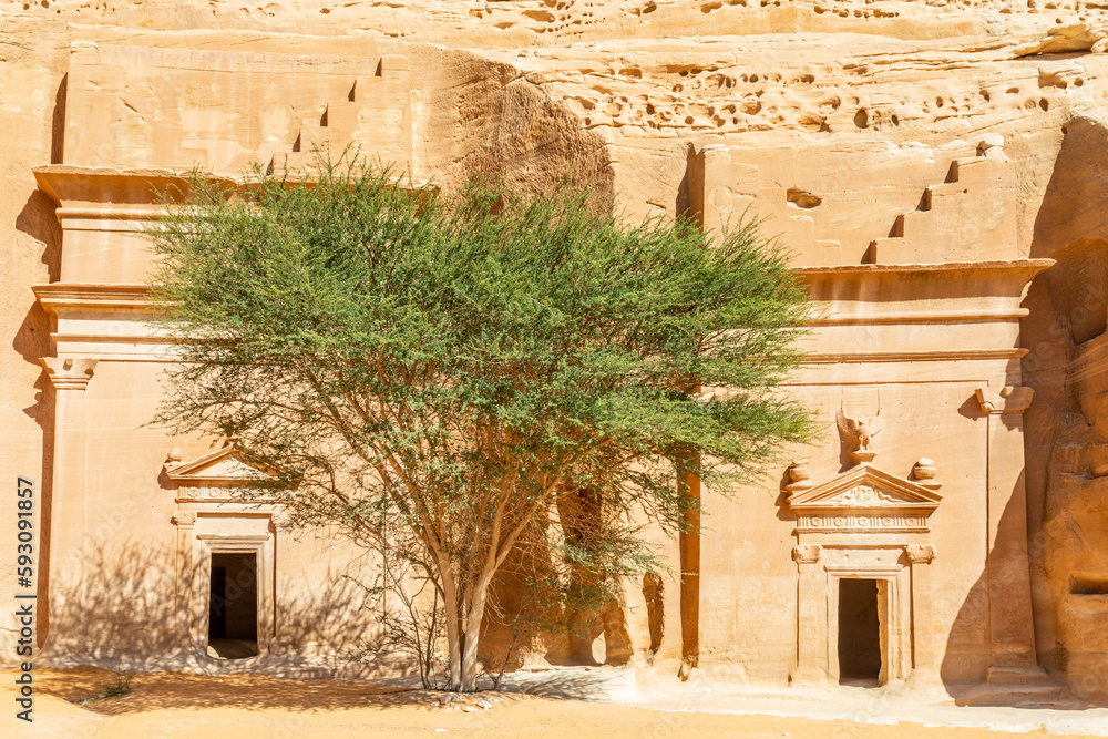 Stone carved nabataean tombs with tree in the middle, Jabal al banat ...