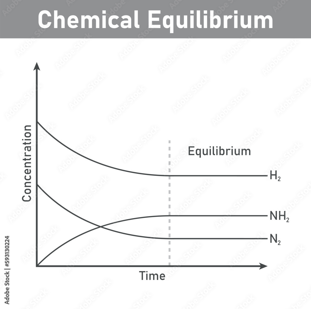 State of chemical equilibrium in reaction. Time concentration graph ...