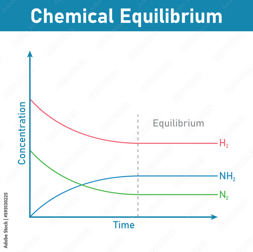 State of chemical equilibrium in reaction. Time concentration graph ...
