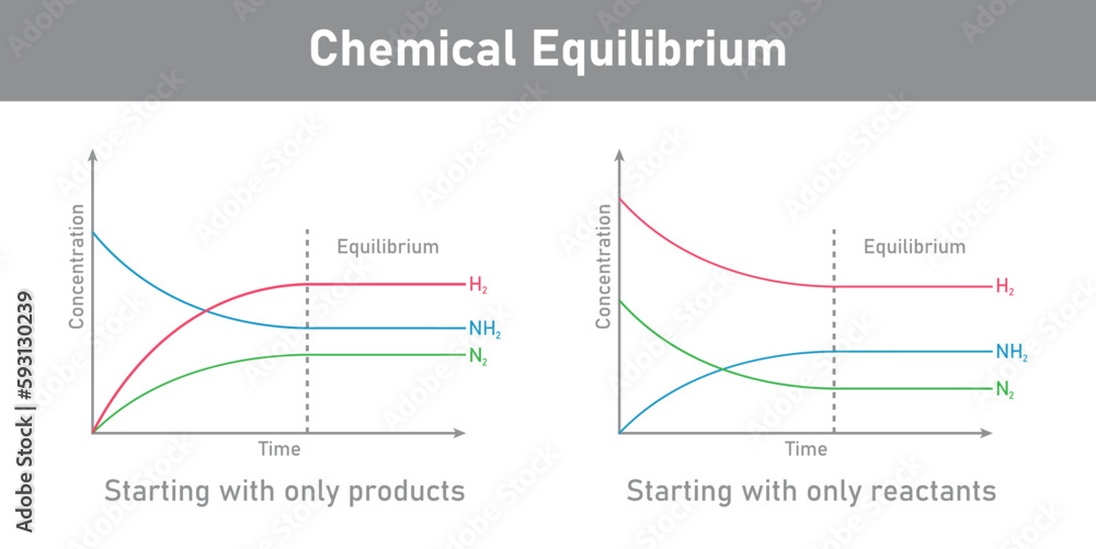 State of chemical equilibrium in reaction. Time concentration graph ...