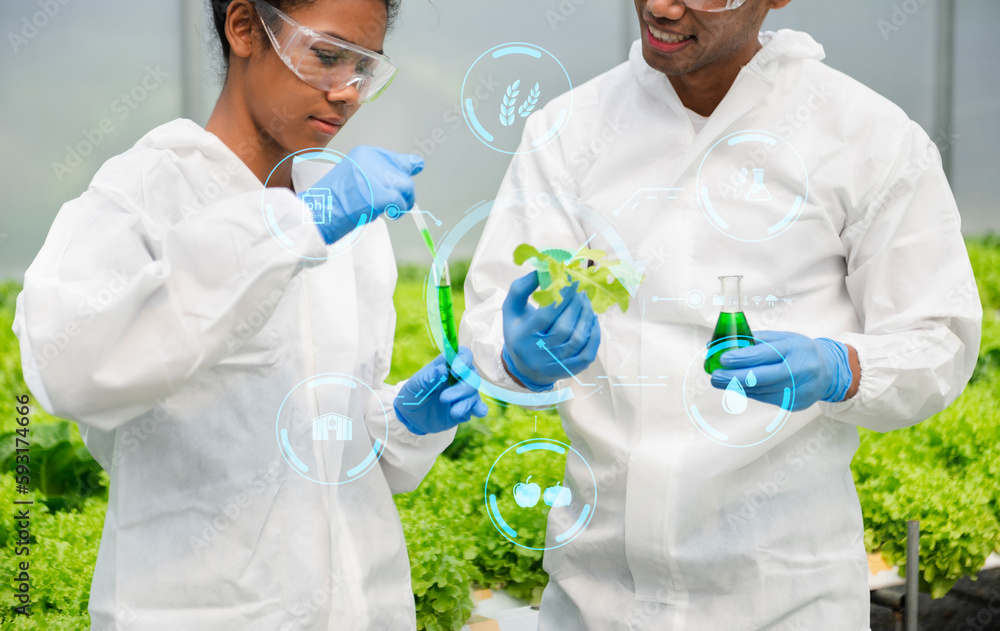 Researcher in white uniform are checking with ph strips in hydroponic ...