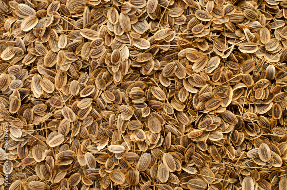 Heap of dried dill seeds close-up, background, texture, top view ...