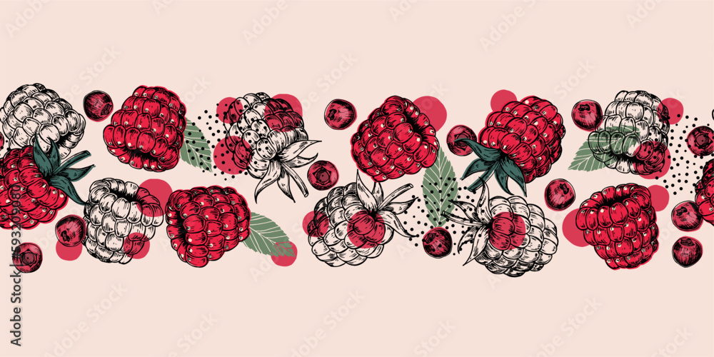 Seamless raspberry border design vector illustration. Raspberry ...