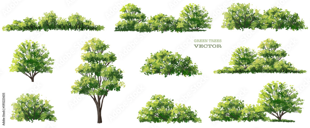 Vector watercolor of green grass,tree side view isolated on white ...