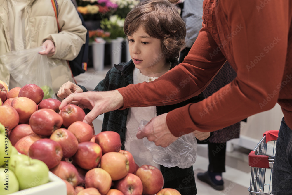 father and his son they share experience of selecting apples ...