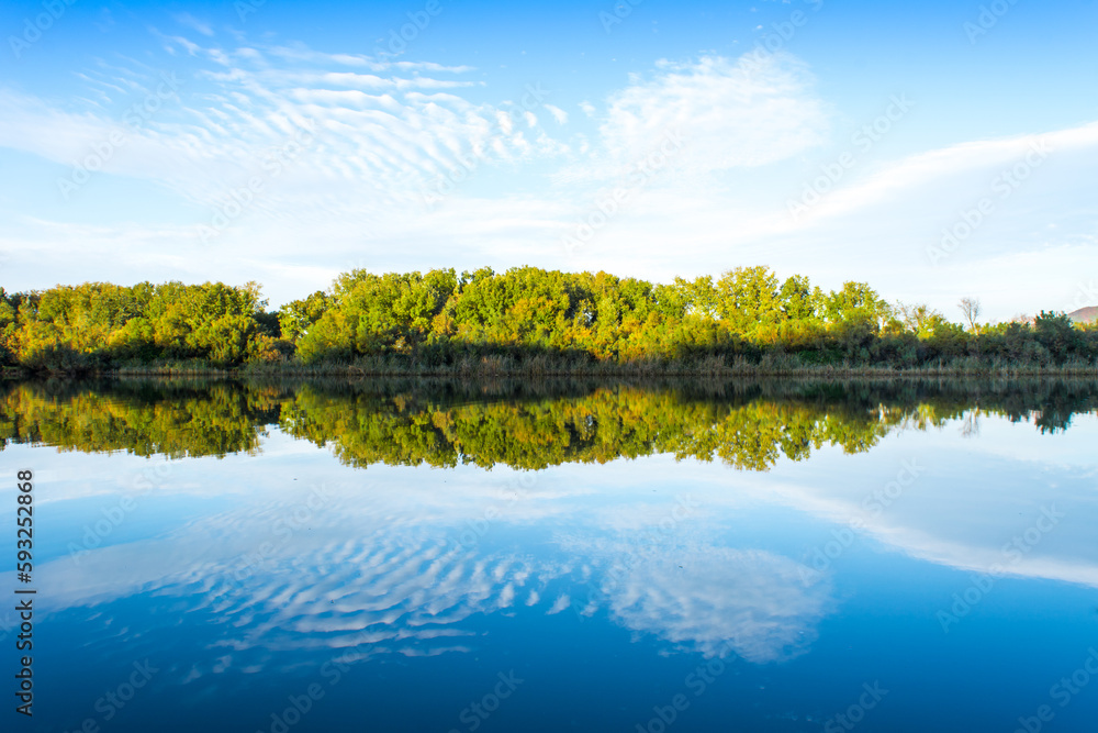 Reflection in water of a forest river tree, Scenic forest river ...
