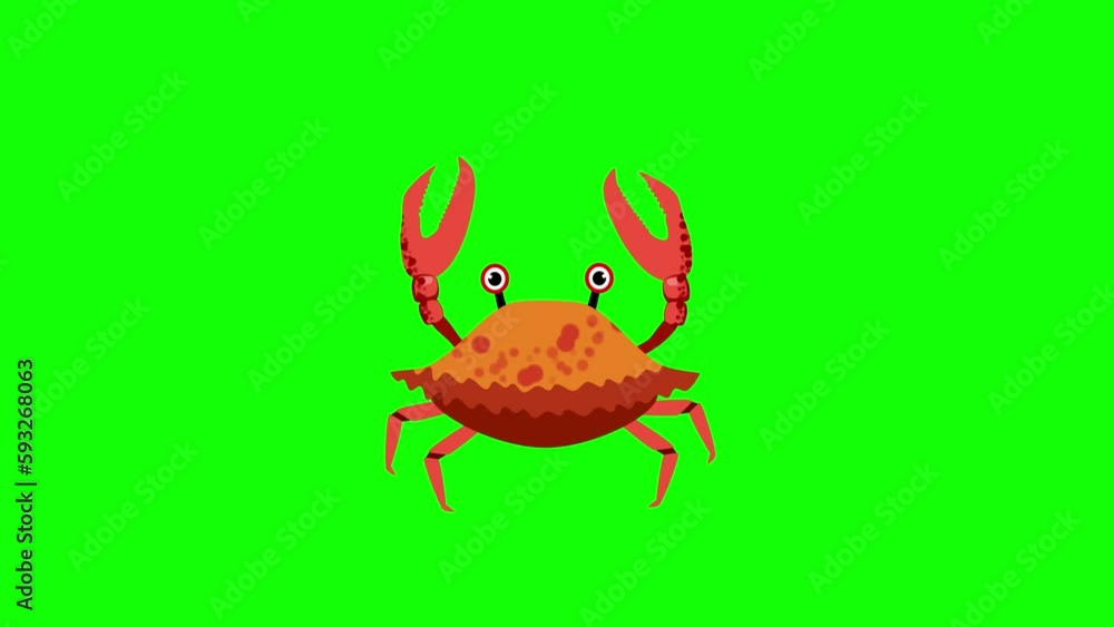 Crab walking animation 2d cartoon on green screen Stock ビデオ | Adobe Stock