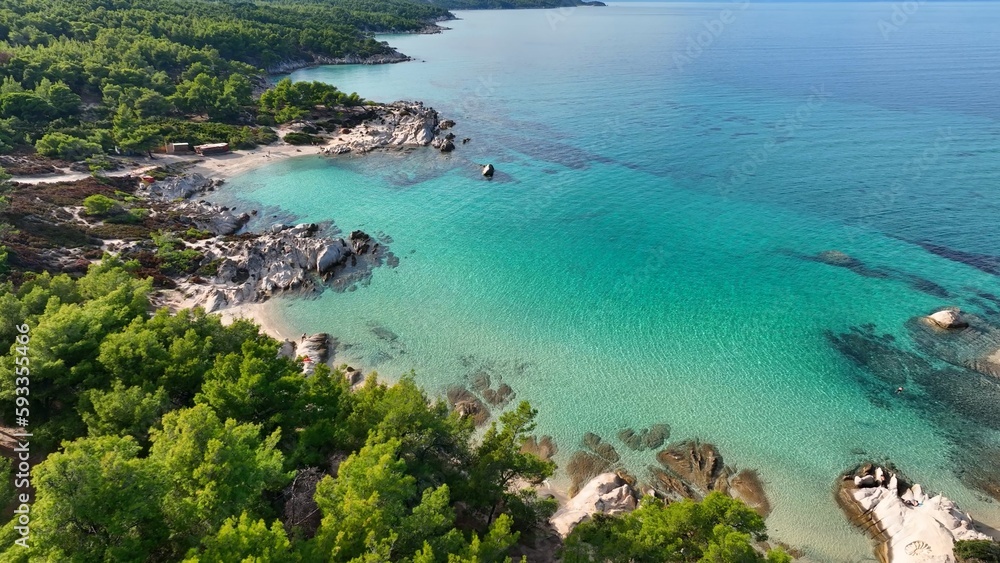 Fly along lagoon with turquoise water, sandy beach and pine trees ...