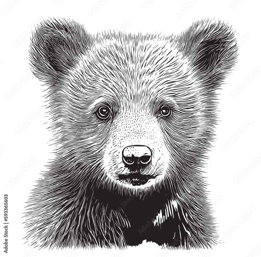 Bear Cub Outline Drawing