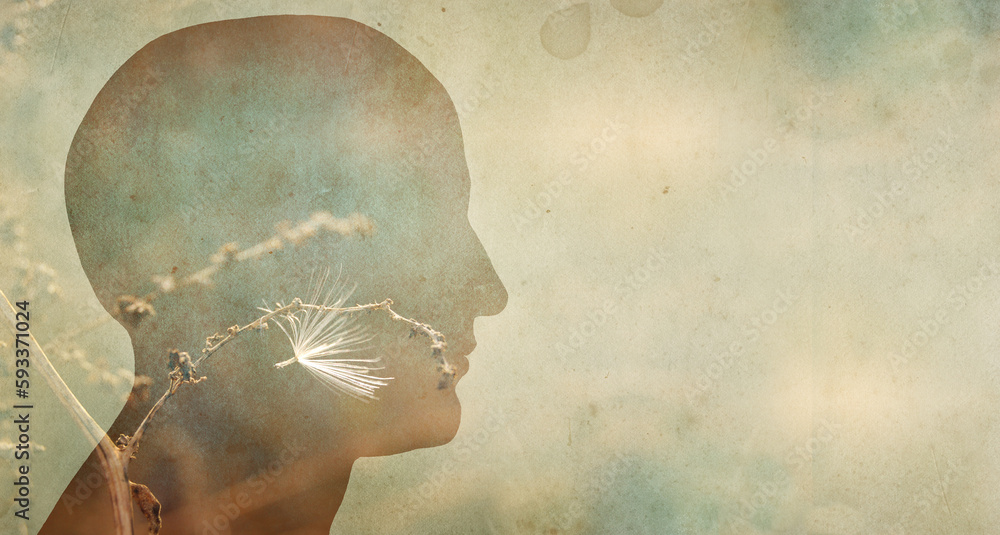 Silhouette of a human head and fluff on a branch as a symbol ...