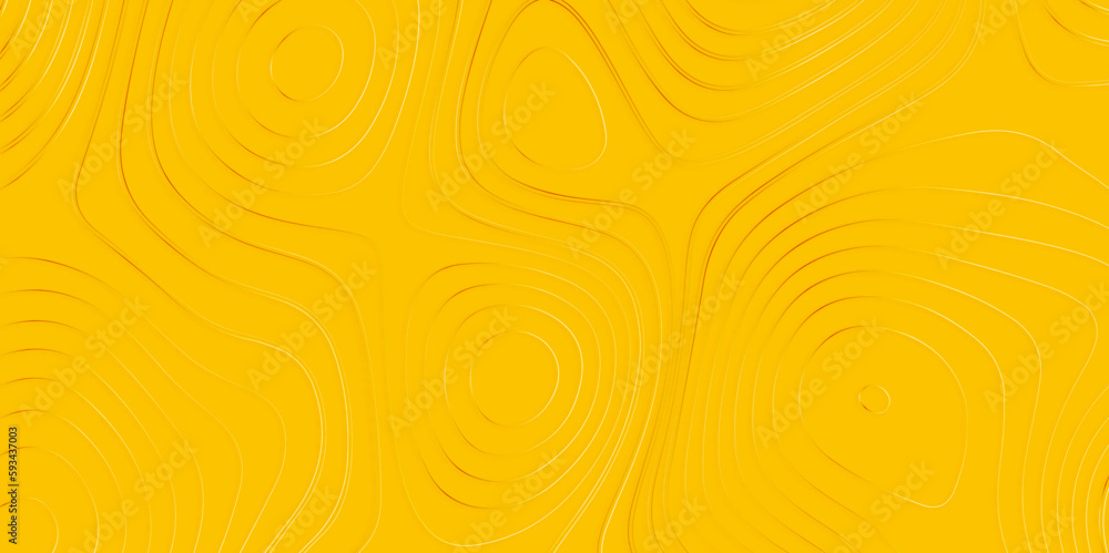 Topographic map background geographic line map with elevation ...