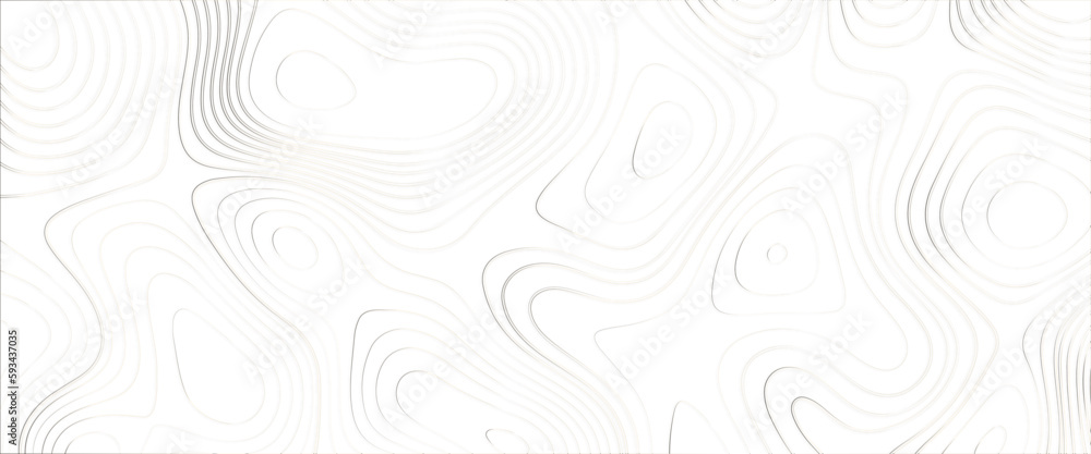 Topographic map and landscape terrain texture grid, abstract white ...