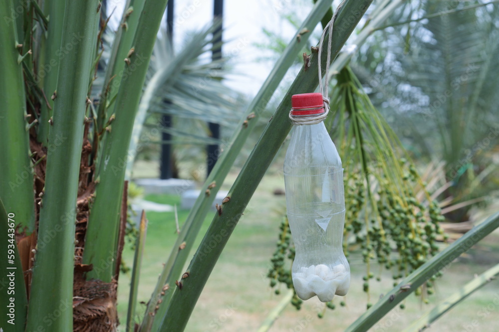 Plastic bottles for insect repellent. Transparent plastic bottle filled ...