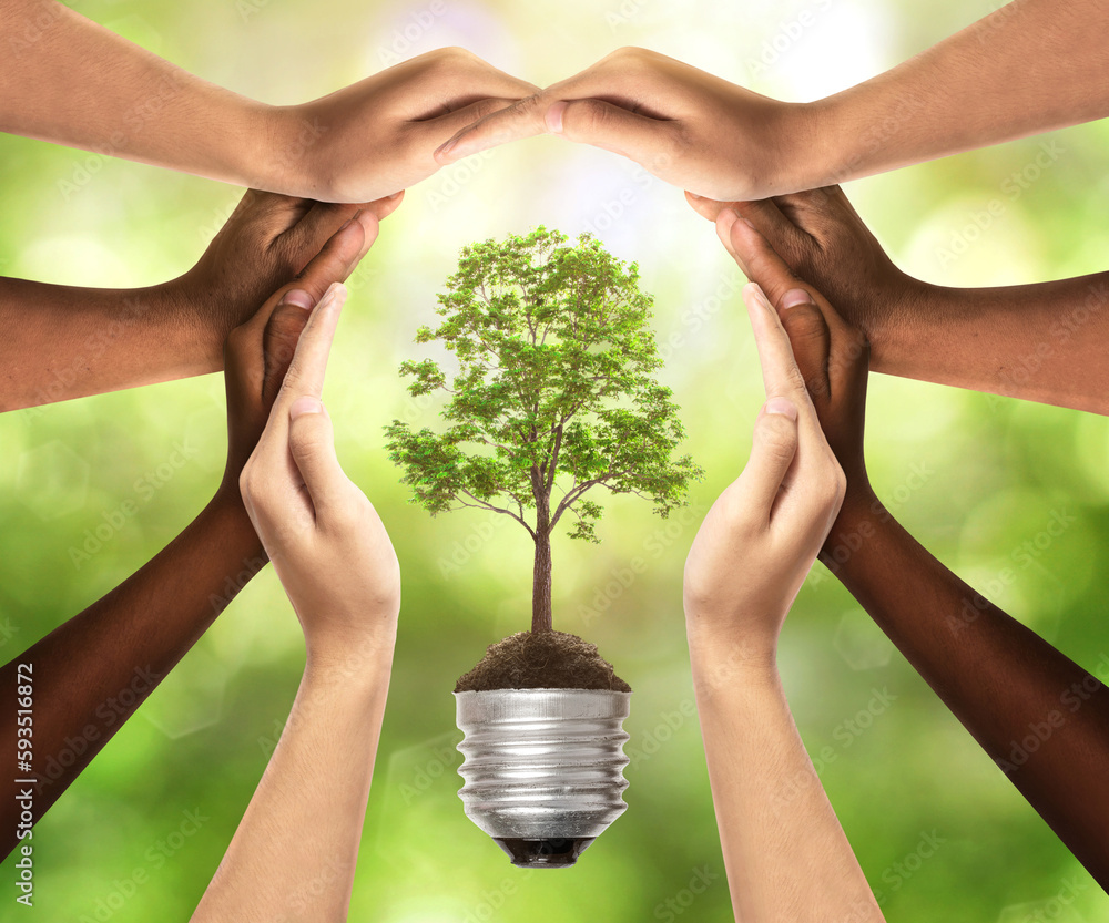 Bulbs with tree on soil. Earth day and earth day as group of diverse ...