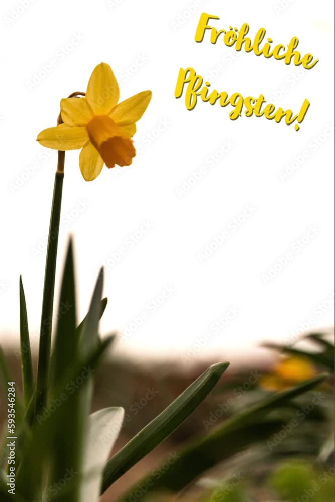 Pfingsten / Videos / Video / Social Media / Soziale Netzwerke ...