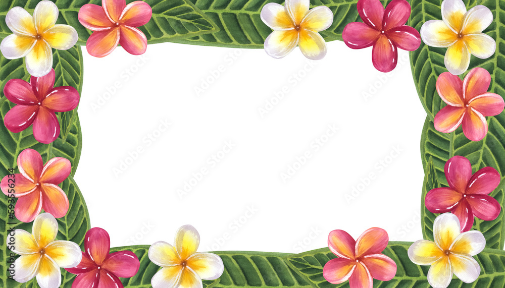Banner frame frangipani plumeria flowers with leaves. Jungle tropical ...