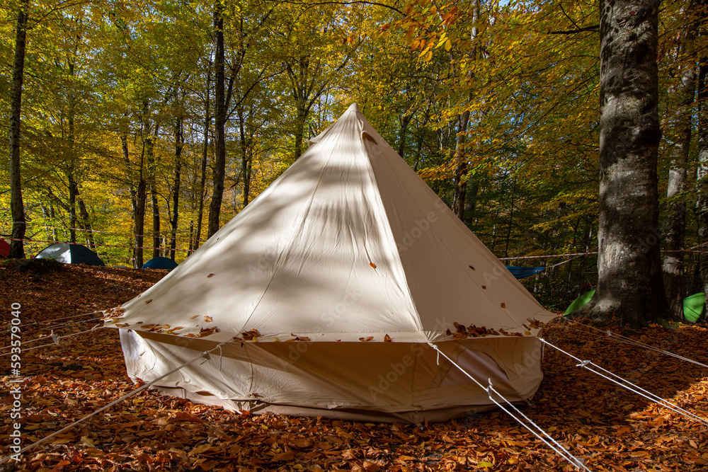 Bell tent in a rural field.Tent set up in the forest.Traditional cotton ...