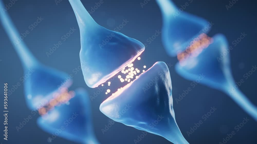 Synapse of neuron cell, biology concept, 3d rendering. Stock Video | Adobe Stock